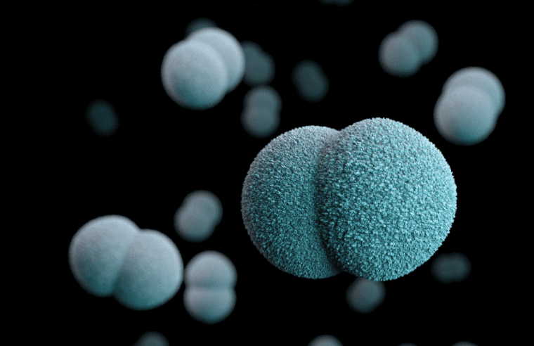 China Temui Virus Baharu Yang Membawa Maut Dari Cencurut