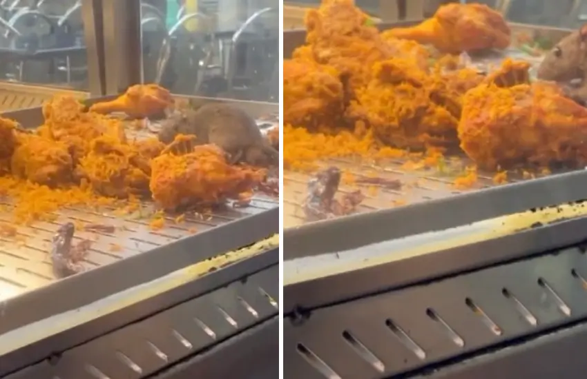 Lesen Meniaga Ditarik Selepas ‘Viral’ Video Tikus Makan Ayam Goreng