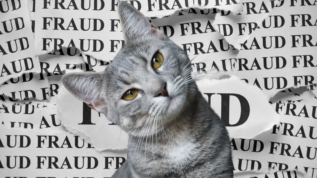 Guru Rugi RM37,750 Akibat Iklan Kucing Di FB